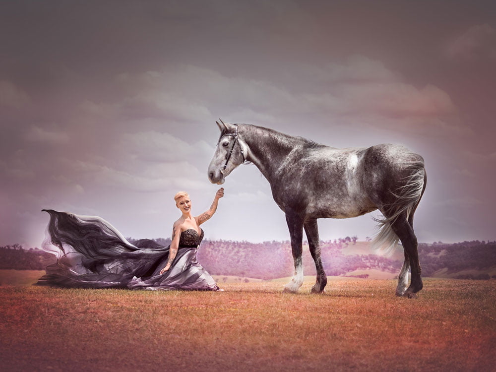 Pet Photographer A State Finalist - The North Central Review