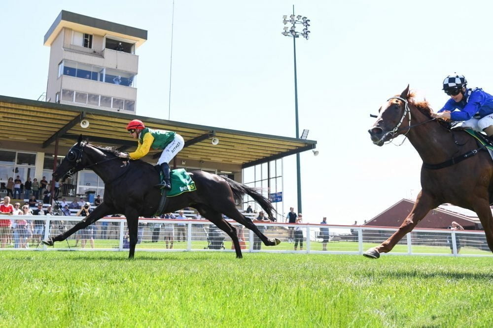 Seymour Trainer Rides To Victory Aboard Munsa Magic 01/03/2022 - The ...