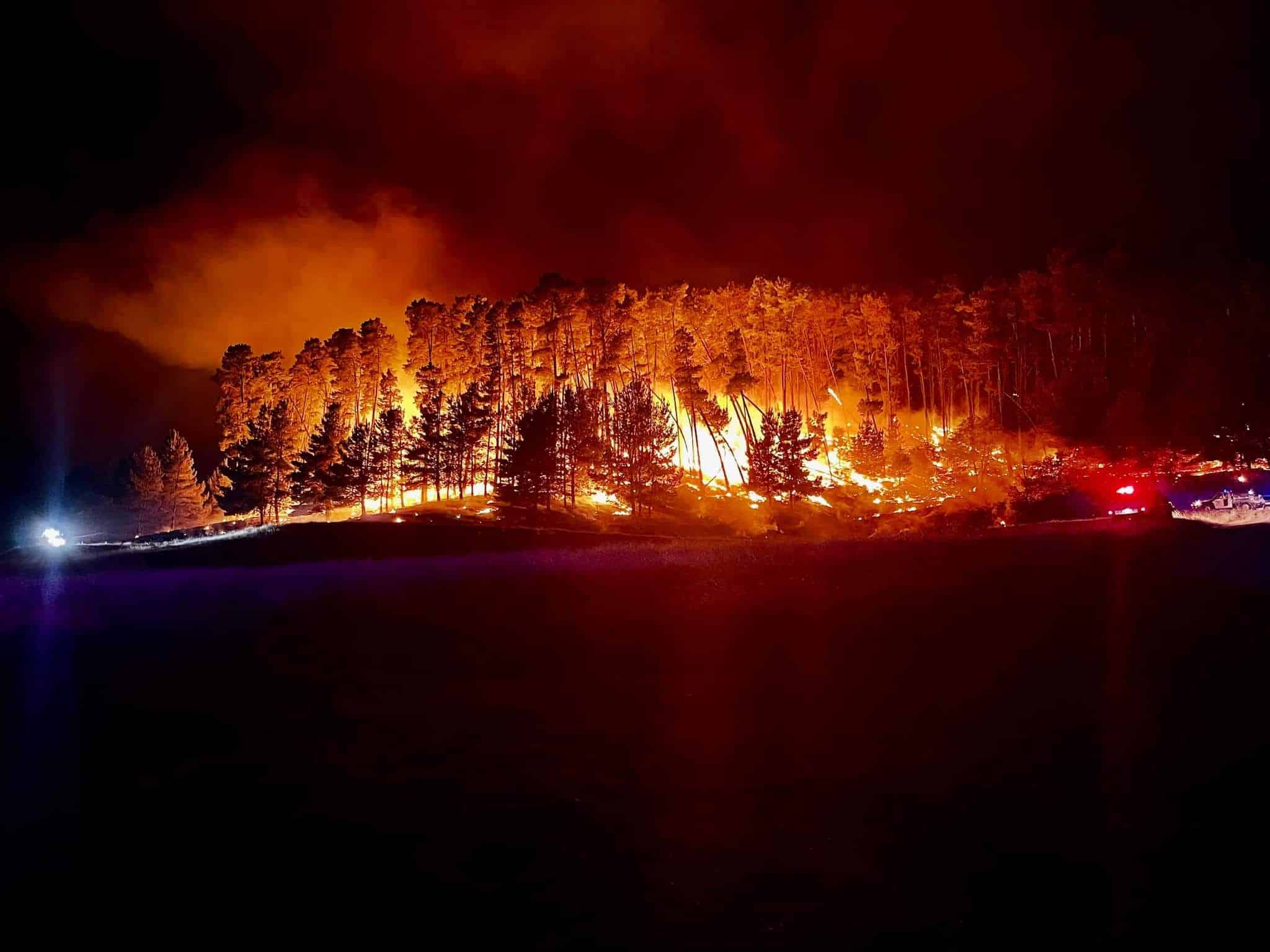 Man arrested following Flowerdale grass fire - The North Central Review