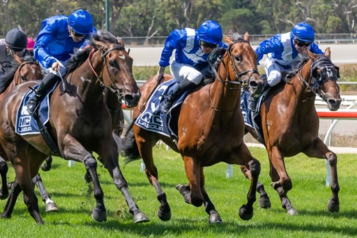 Racing: Harley Wins For Howley - The North Central Review