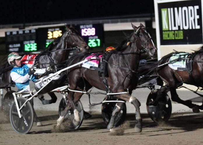 Eclipse In A Photo Finish: Kilmore Pacing Cup - The North Central Review