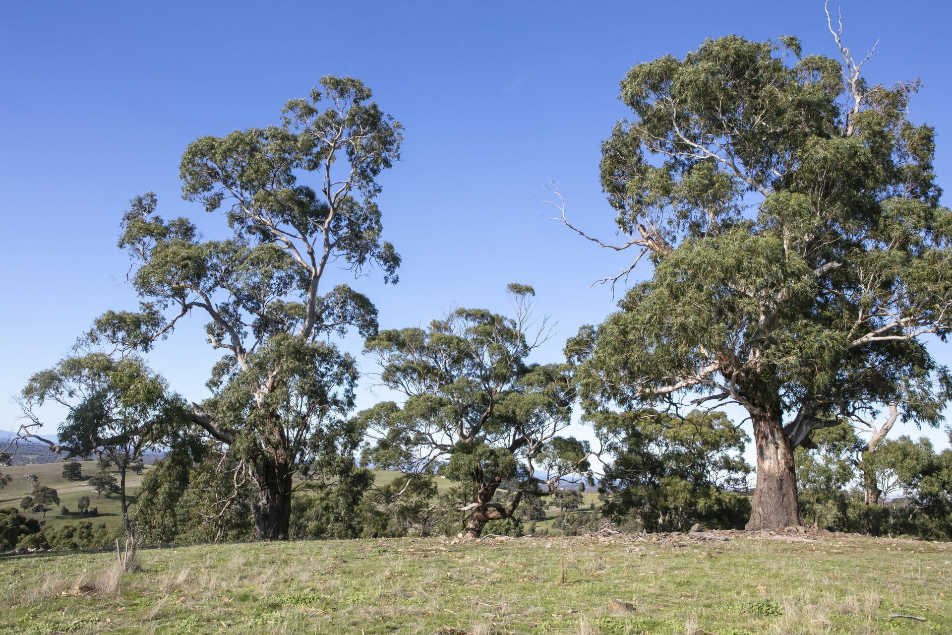 Discover The Great Outdoors With The City Of Whittlesea 04/06/2024 ...