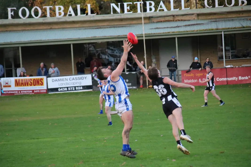 Resilient Roos Still Learning 09/06/2026 - The North Central Review